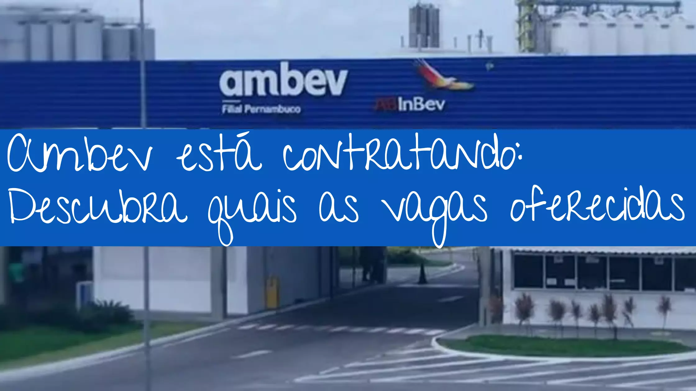 Ambev está contratando: Descubra quais as vagas oferecidas